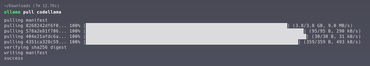 Andrew Ford - CodeLlama vs GitHub Copilot Chat Comparison